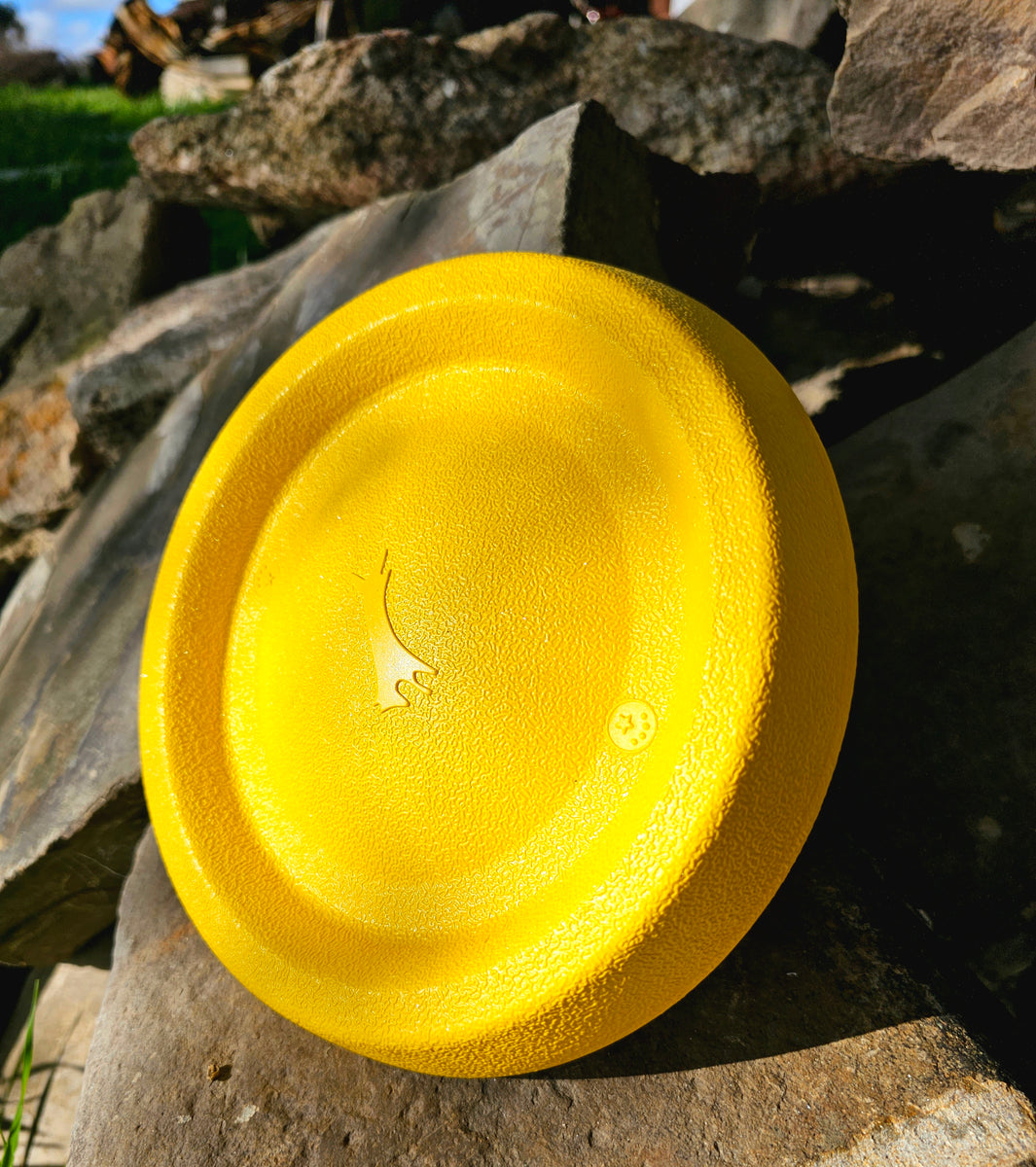 AirGlider Foam Frisbee by Ruff-Paws! – The Quality Collar Co.