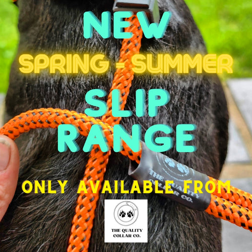 The Quality Collar Co.