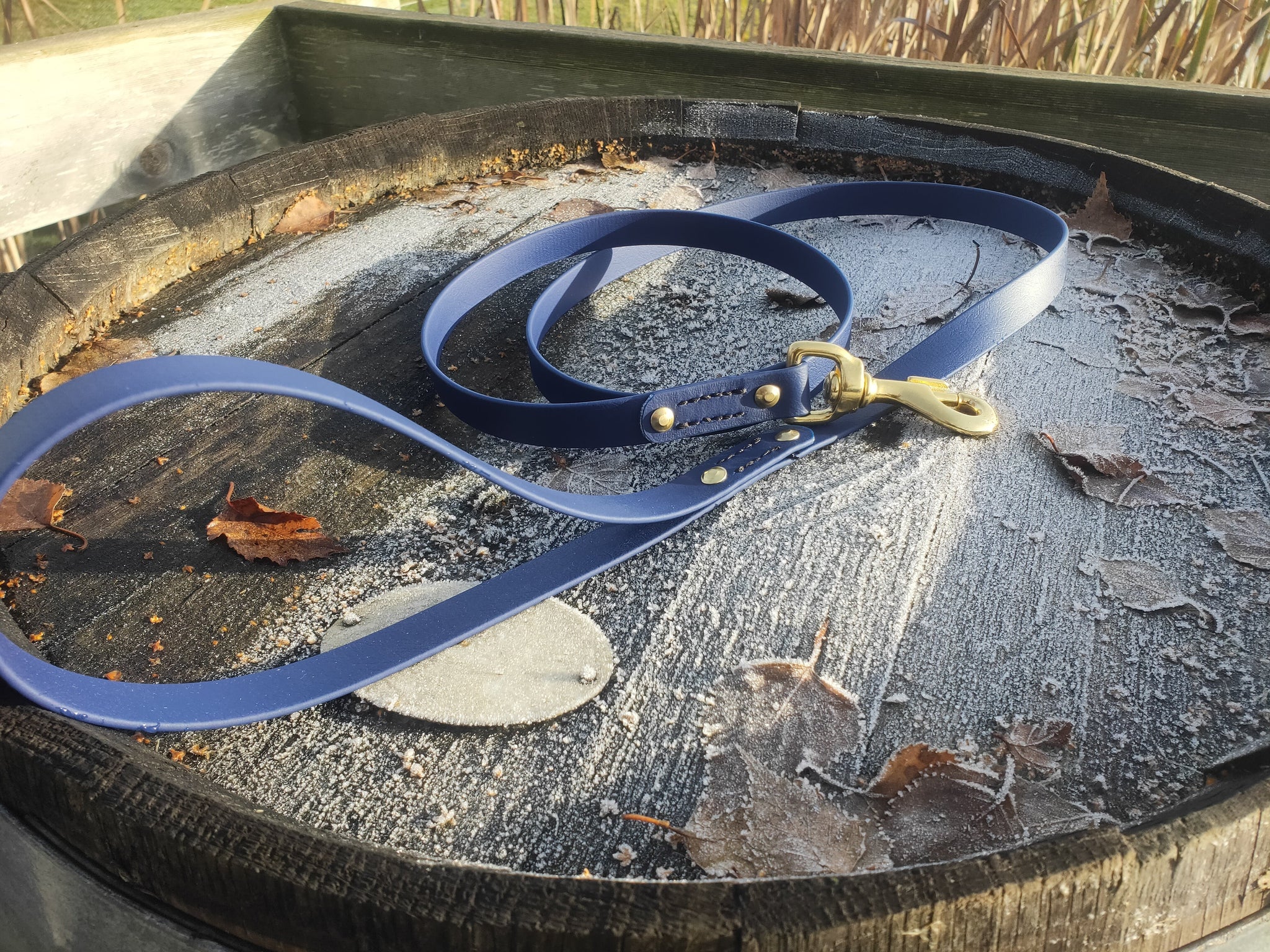 Biothane leashes – The Quality Collar Co.