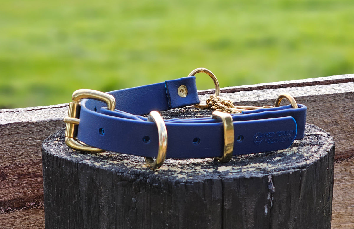 Martingale Collar with Brass Hardware – The Quality Collar Co.