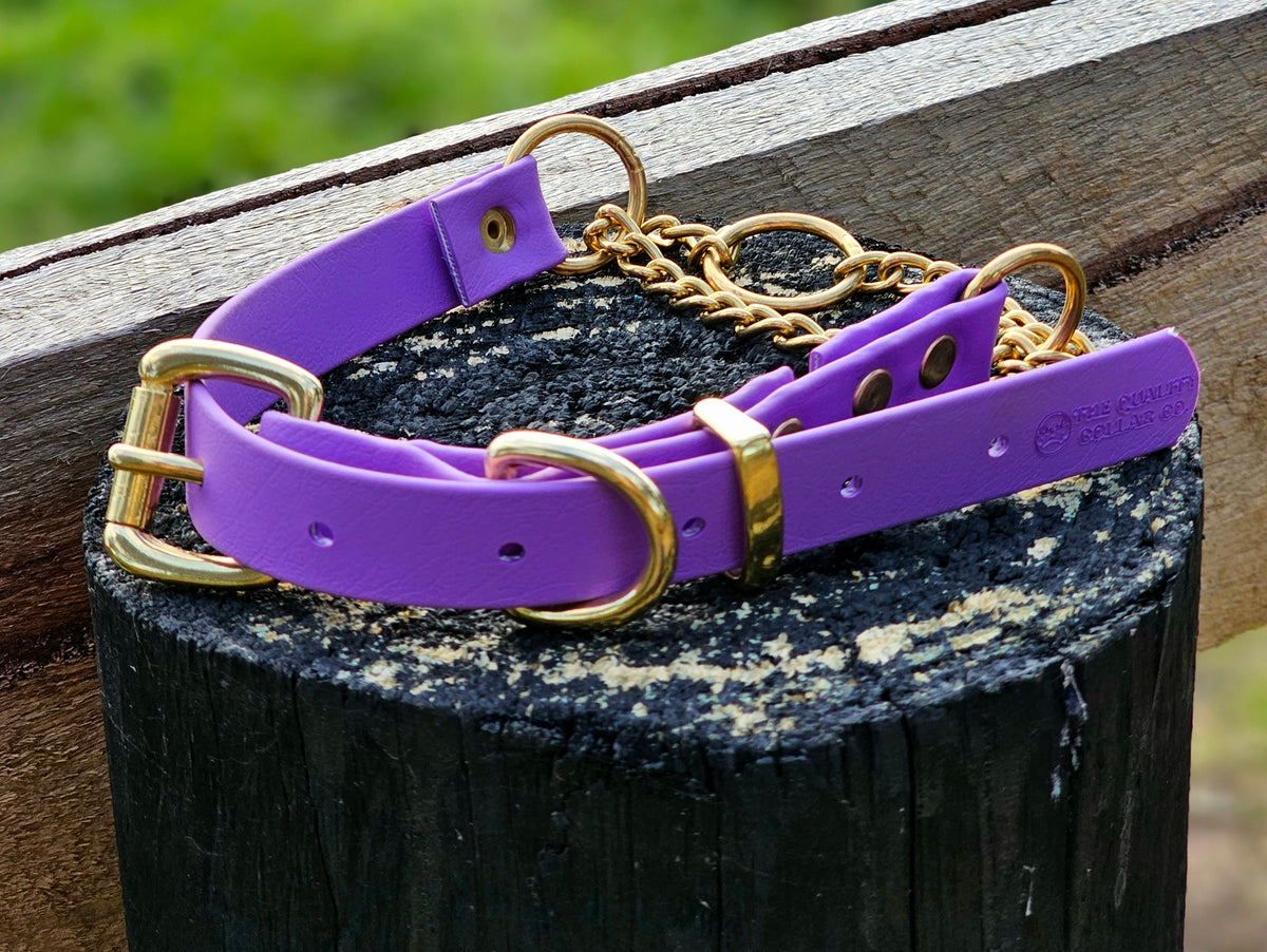 Martingale Collar with Brass Hardware – The Quality Collar Co.