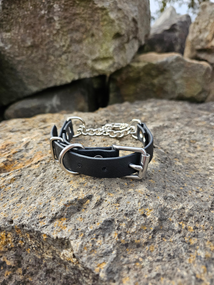 Martingale Collar with Stainless steel hardware and *Herm Sprenger* Ch ...